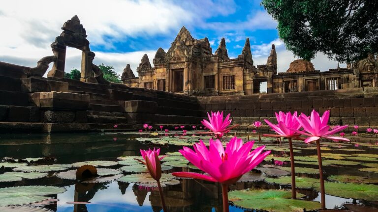 Loyalty - Fourways Group